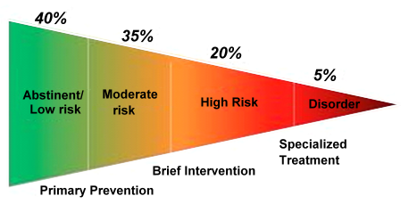 Self-Report Audit form